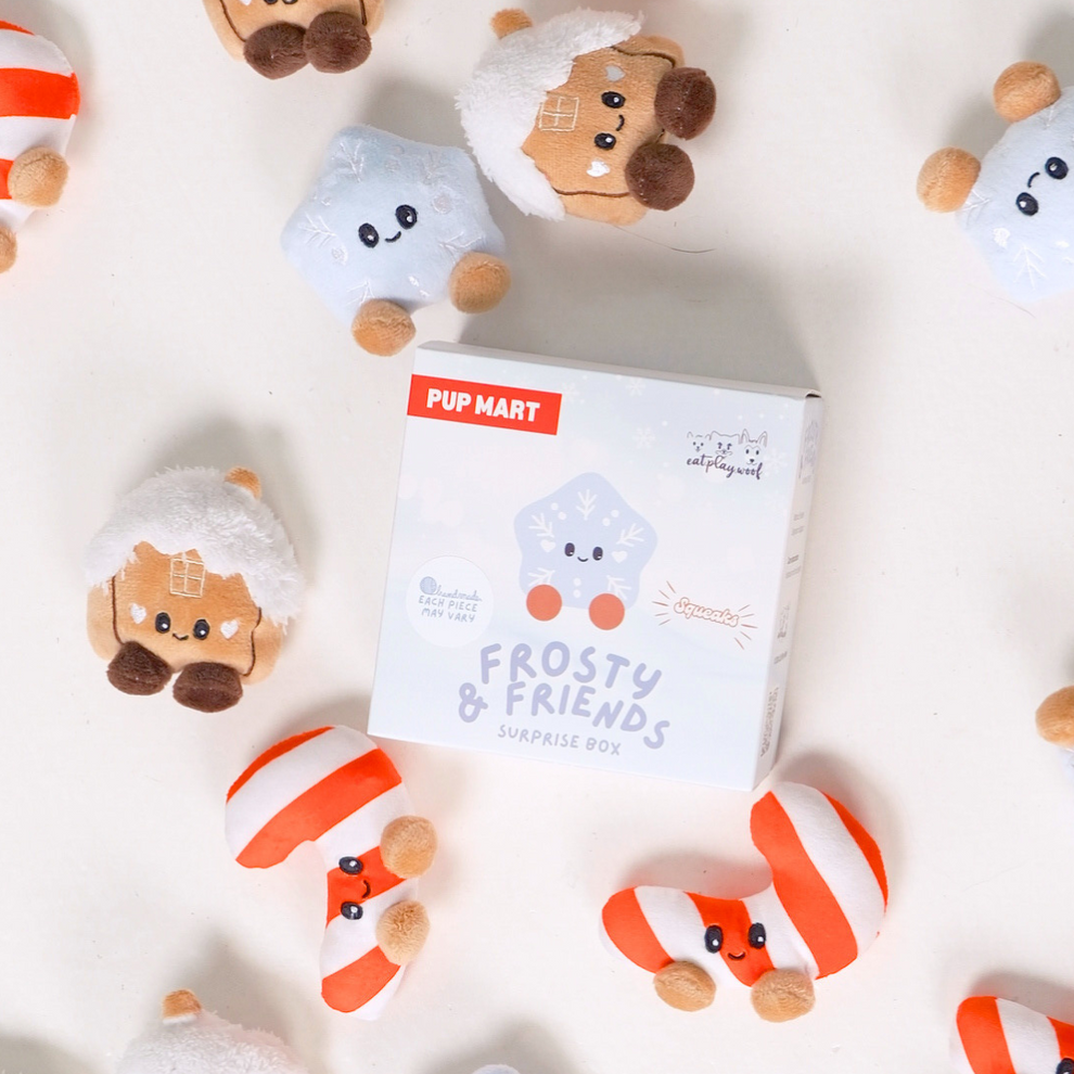 Pup Mart: Frosty & Friends Surprise Box (One Toy per Box) – Eat Play Woof